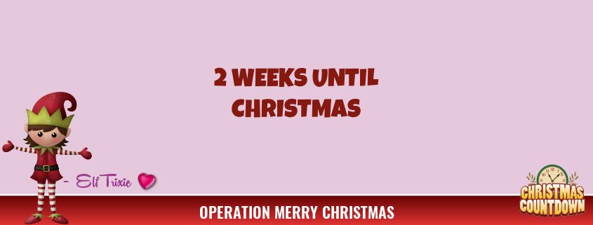 2 Weeks Until Christmas | Santa Update